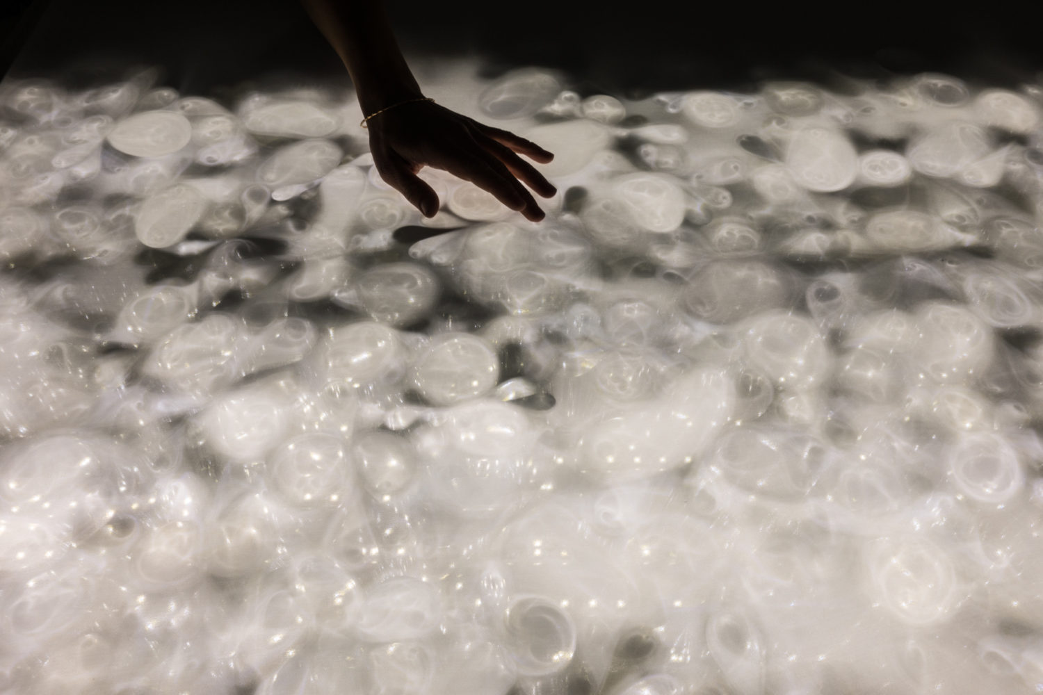 Caustic Rays | Loop.pH