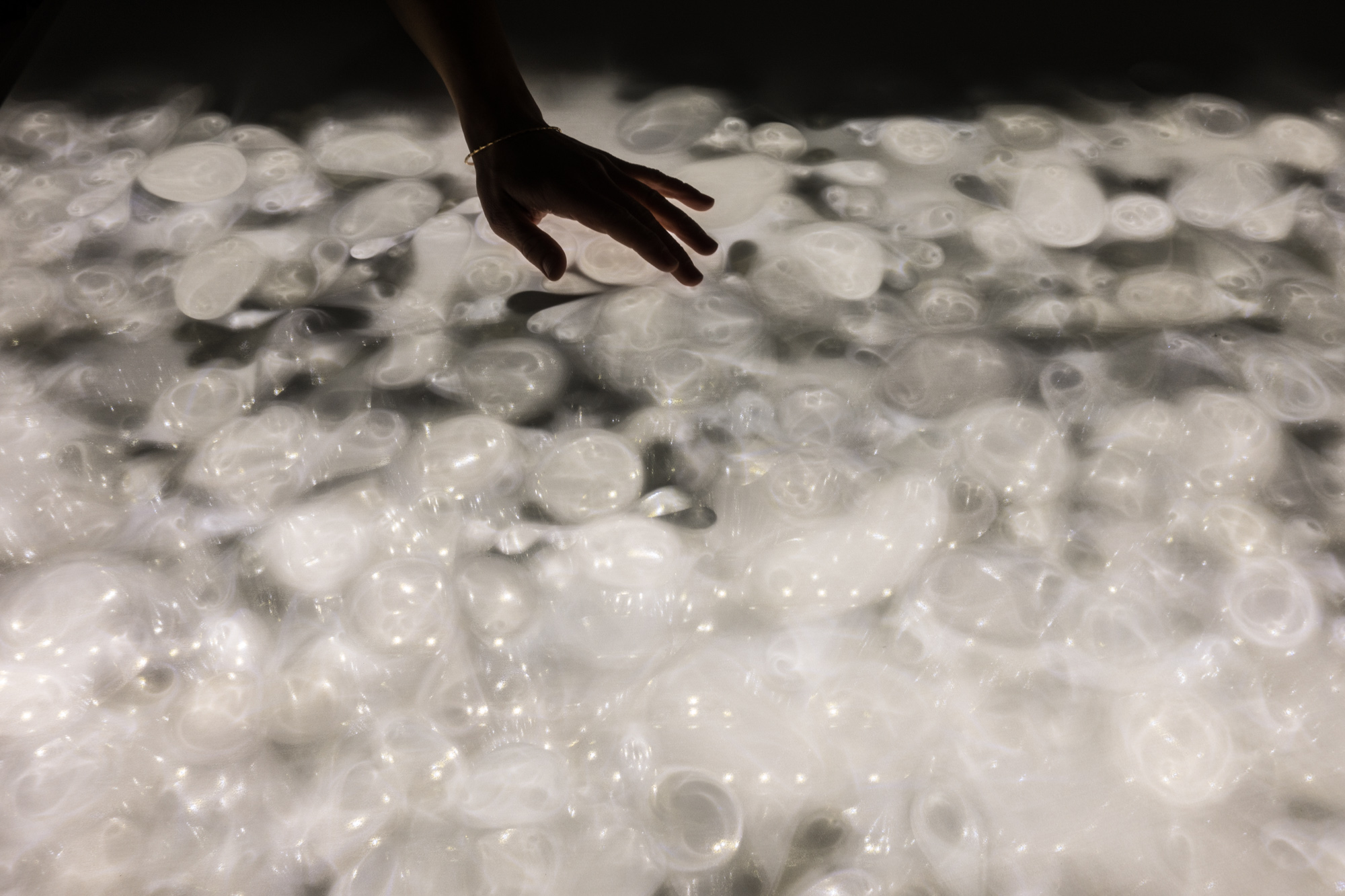 Caustic Rays | Loop.pH